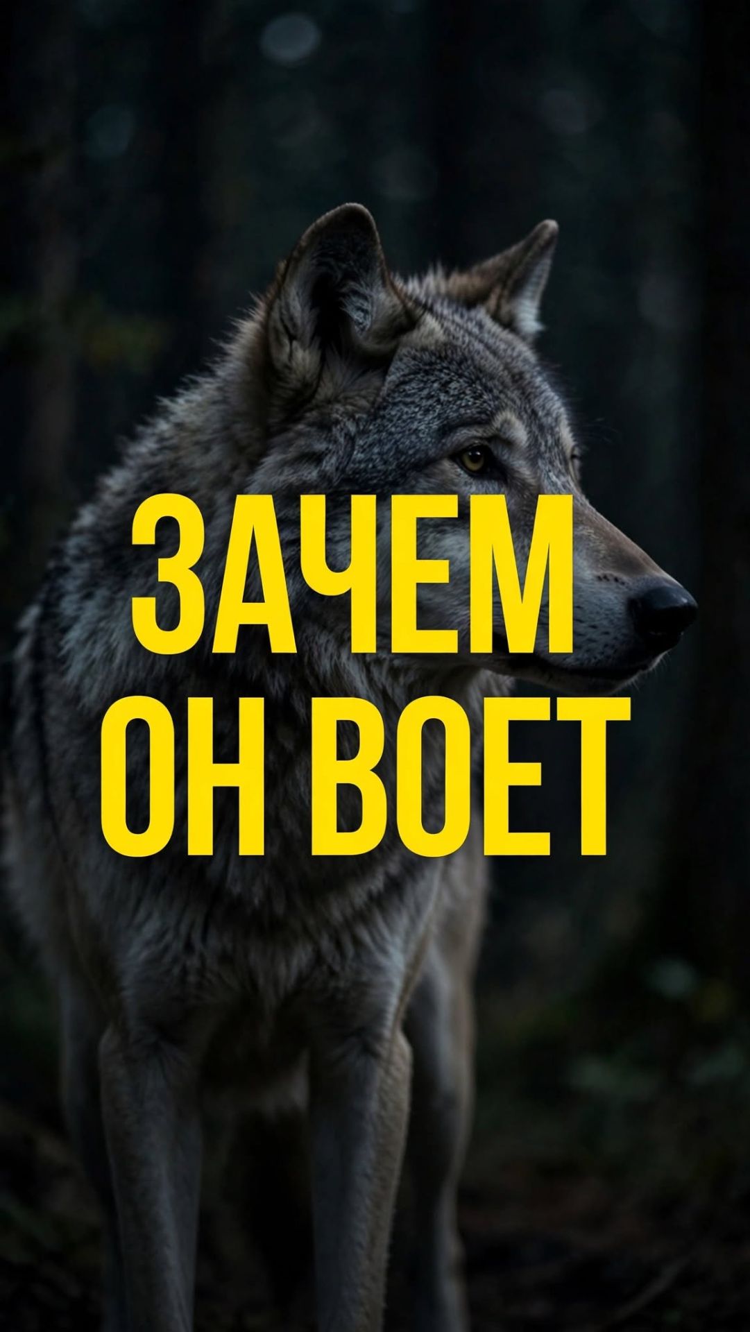 🔬 Мир вокруг: Короткие факты о главном