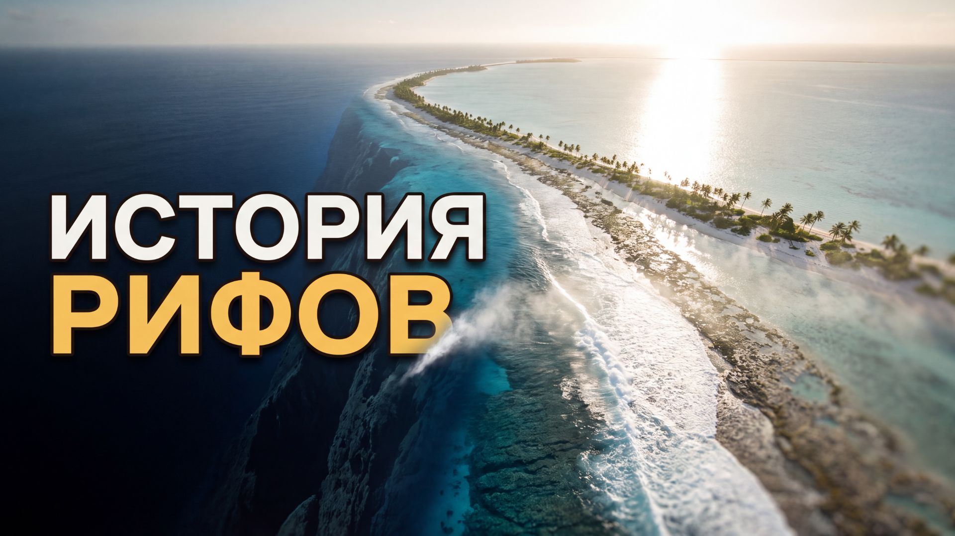 Сонные Архивы
