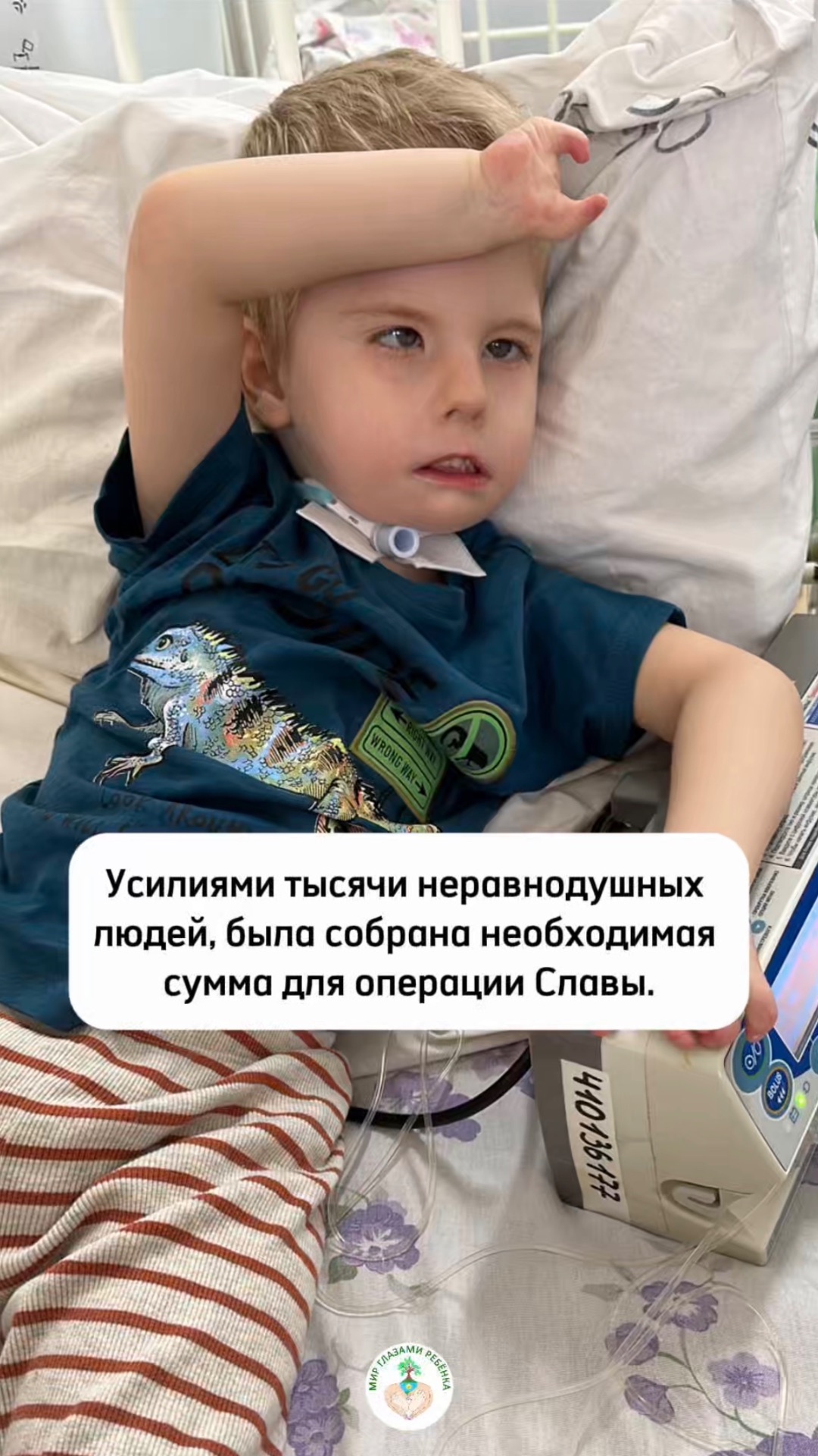 Отзывы