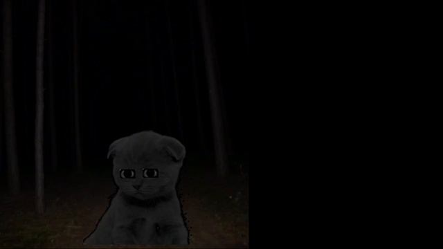 Разные Лица Котиков
