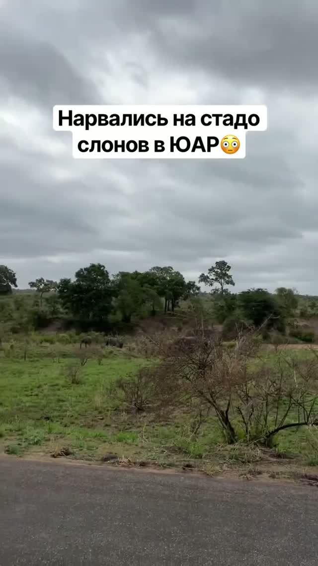 ЮАР
