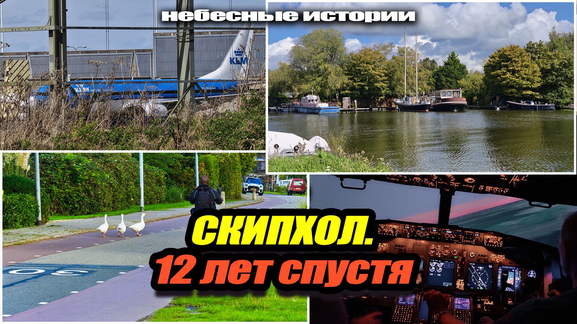 Мысли за рулем