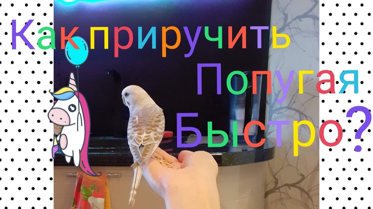 Видео помощь, советы