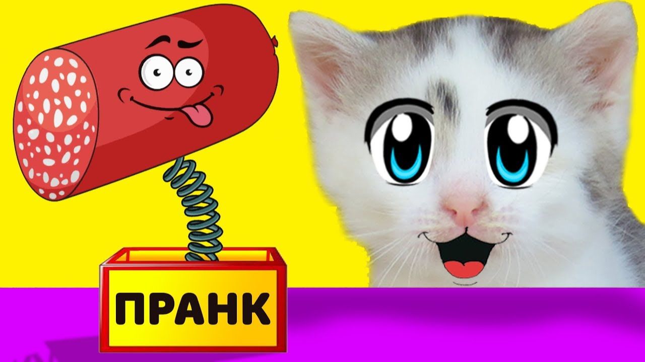А НУ-КА ДАВАЙ-КА ПРАНКИ над КОТАМИ