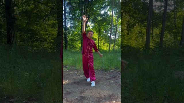 ТРАДИЦИОННОЕ УШУ