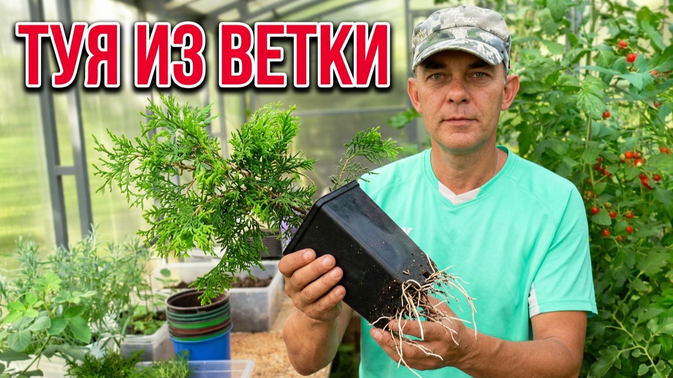 САДОВОДСТВО