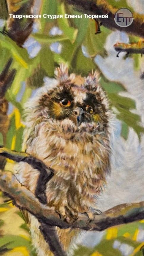 Короткие видео