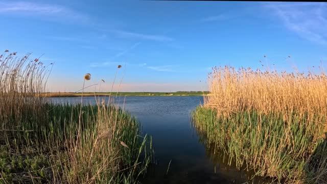 ПРОЕКТ АРЕНДА ВОДОЁМА ″ КАРПУША ″