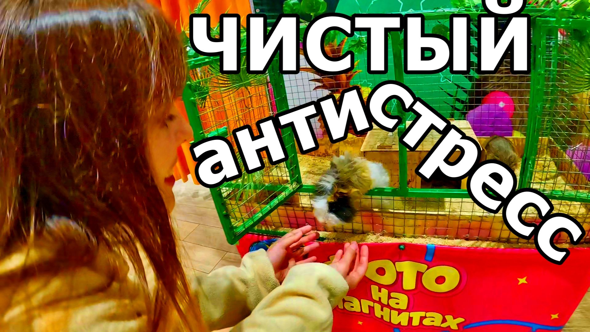 Орёл