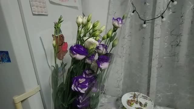 ОБЗОР ПОКУПОК