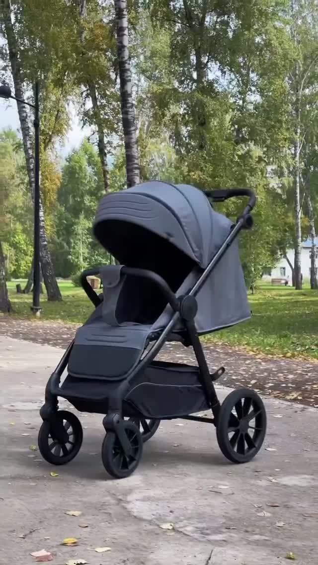 Коляски прогулочные