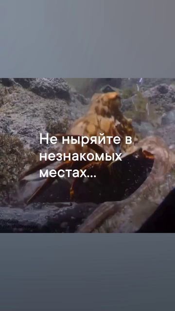 Оффтоп видео с форума Людей Воды