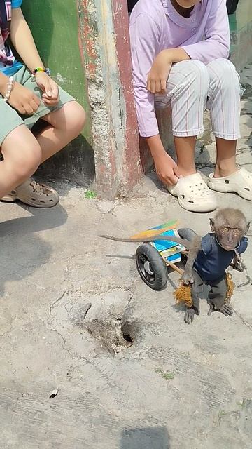 Всякое разное