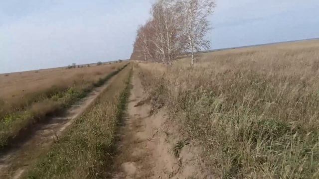 Короткие видео. 😊