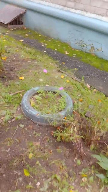 Садоводство