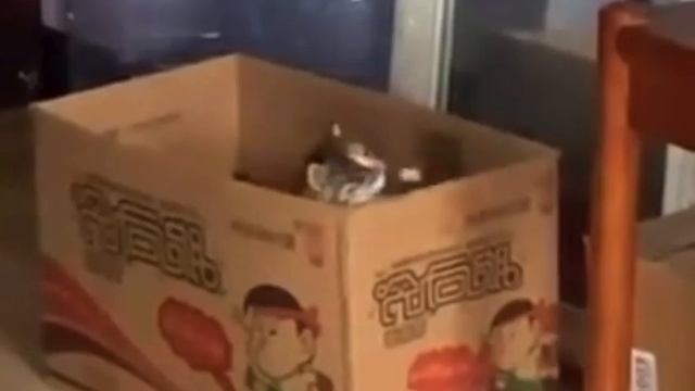 сКотейки и др.