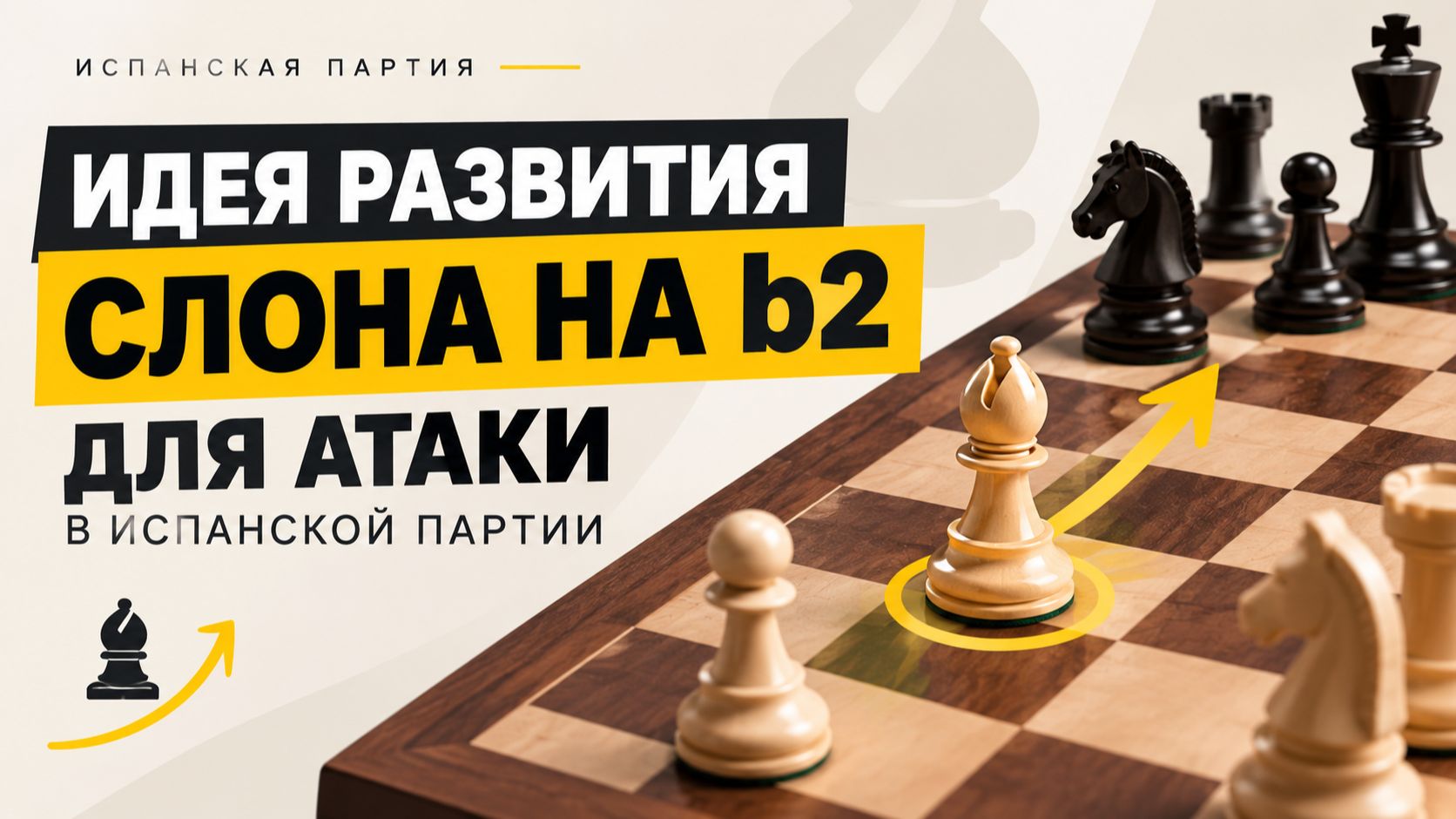 Разбор партий по шахматам
