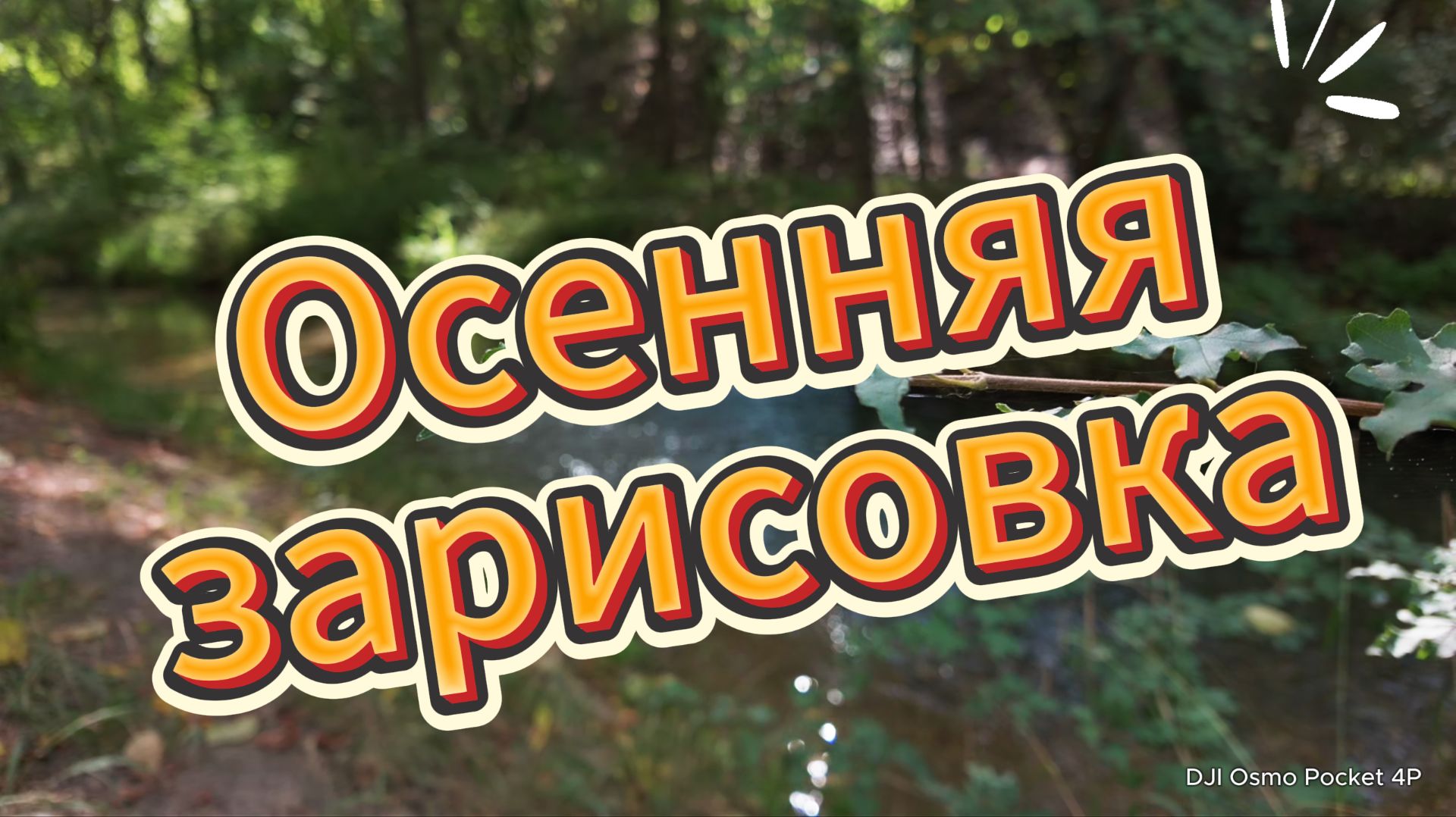 Путешествия