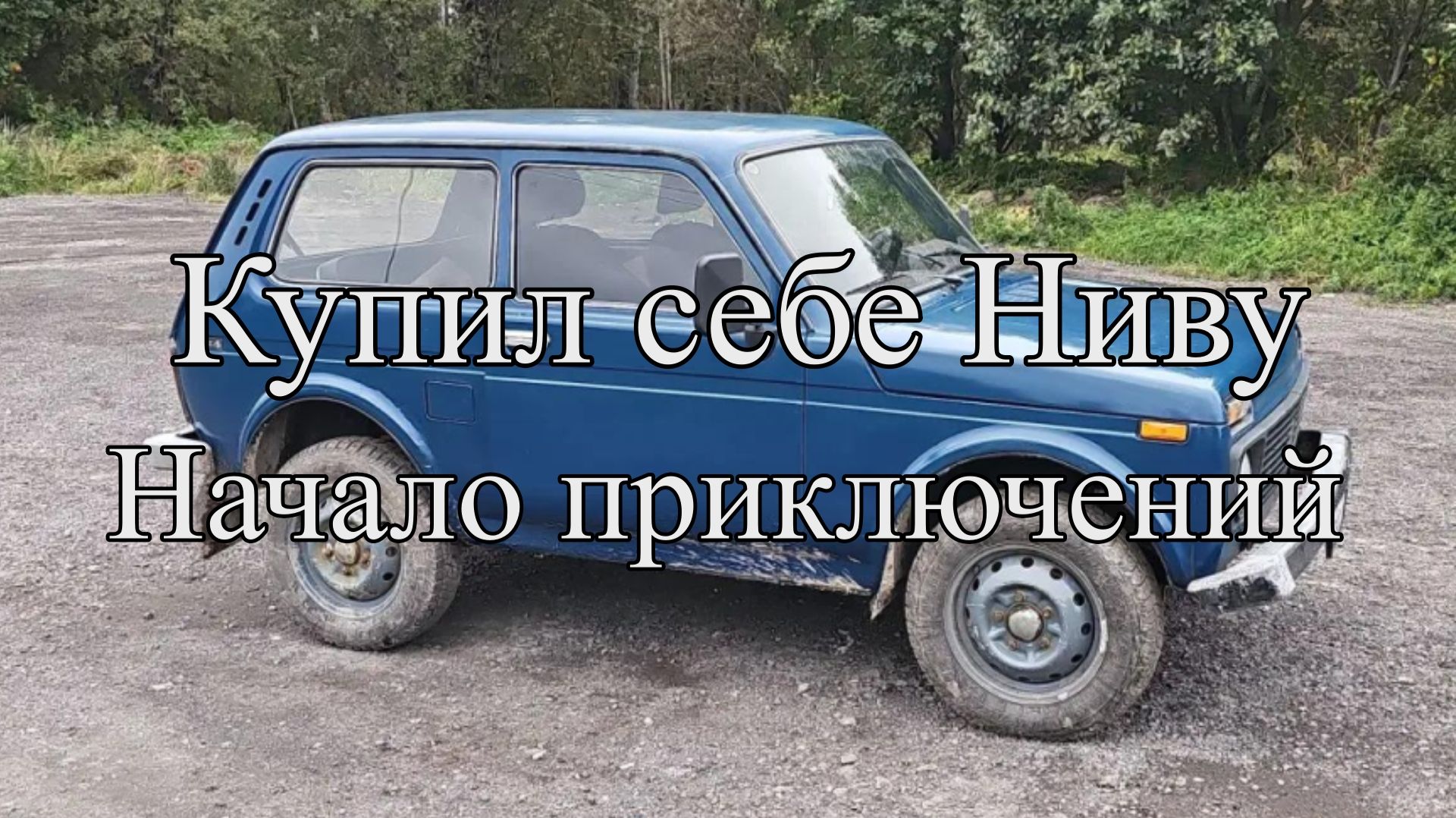 Пайки в сарайке ищут грязь