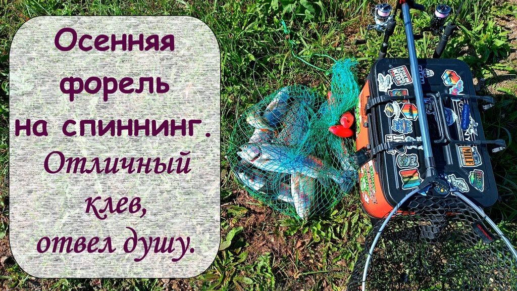 Area Fishing /ловля прудовой форели