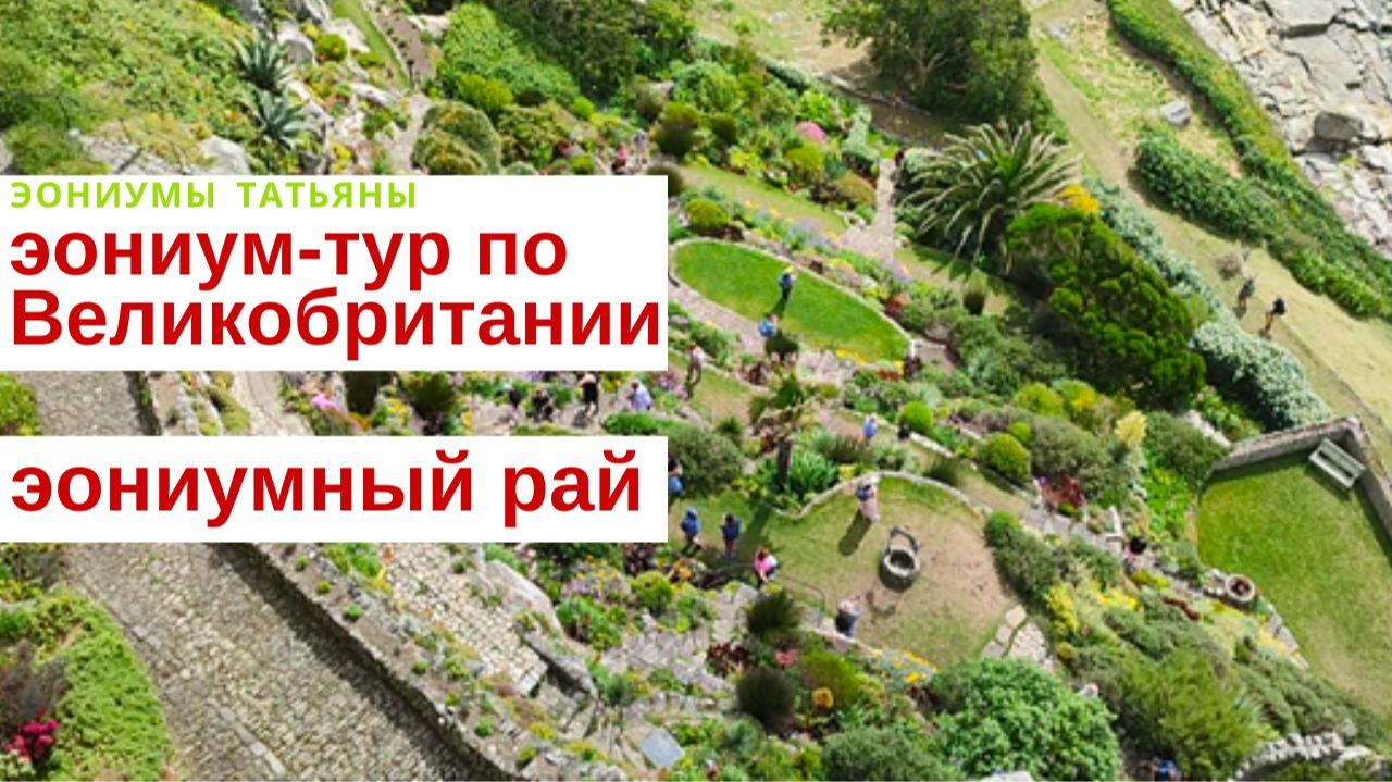 ПРОМО