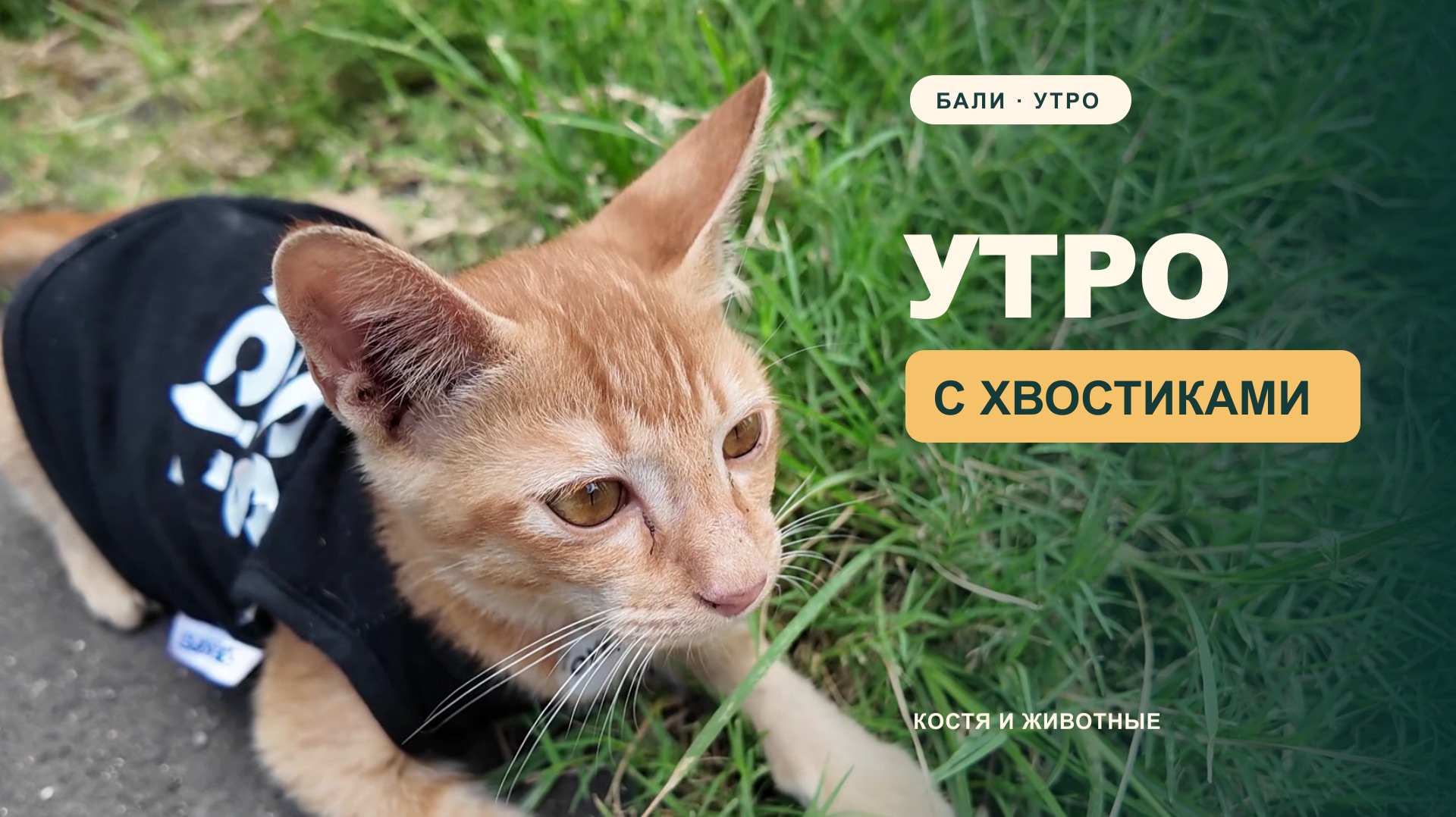Бали (Индонезия)