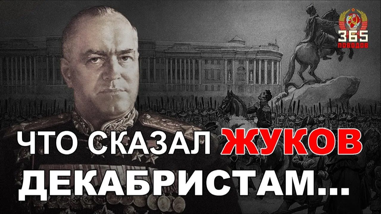 365 вопросов