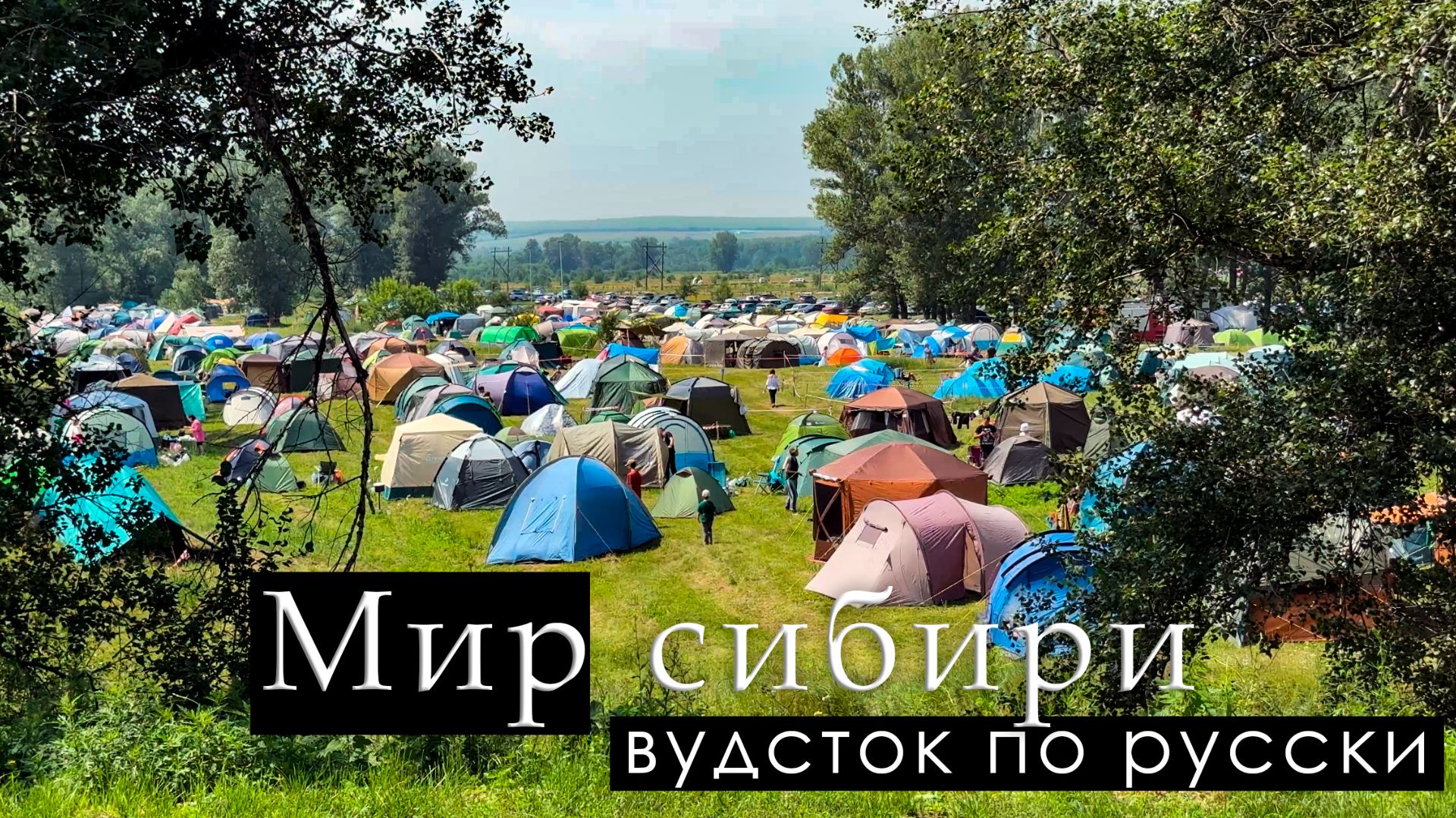 фестивали концерты