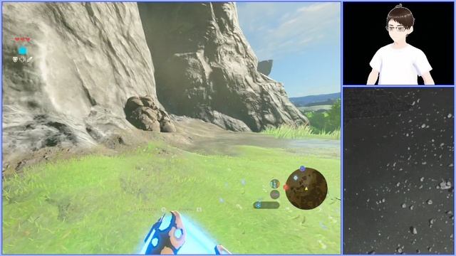 The Legend of Zelda: Breath of the Wild
