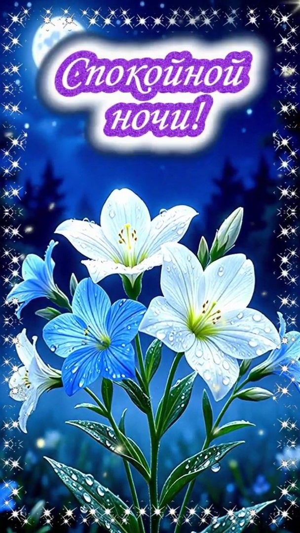 Спокойной ночи!