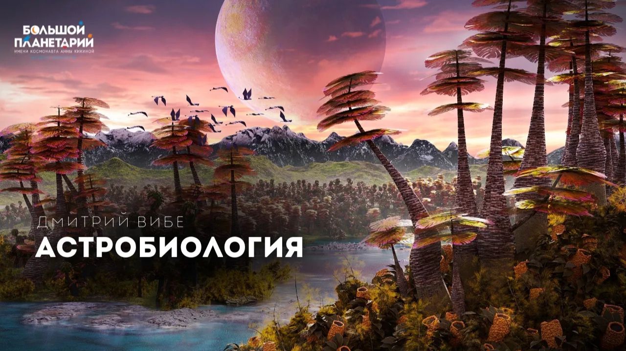 Дмитрий Вибе
