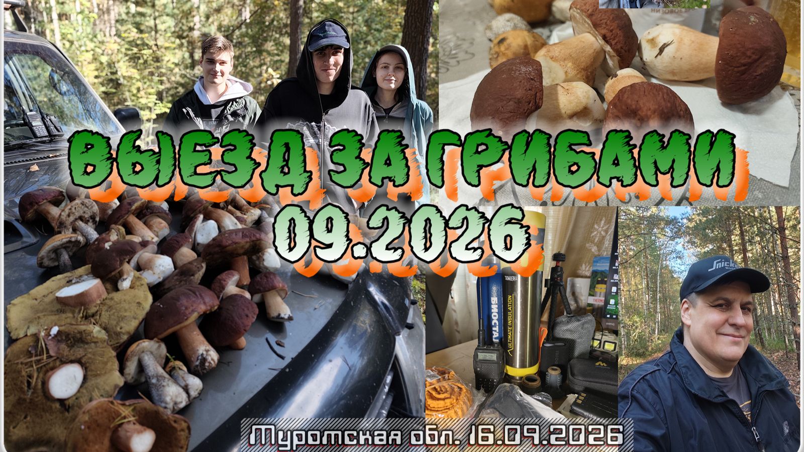 Природа, Лес, Грибы, Рыбалка, Охота