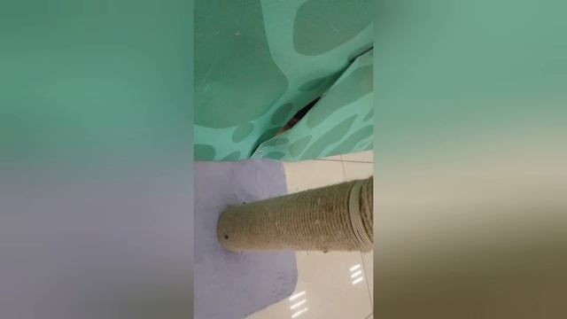 все видео