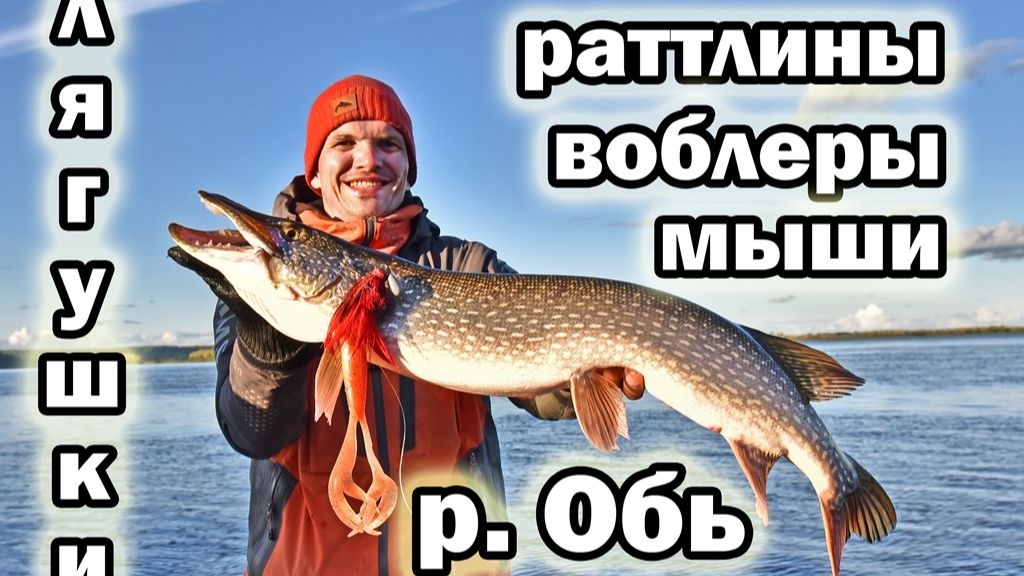 2026 год