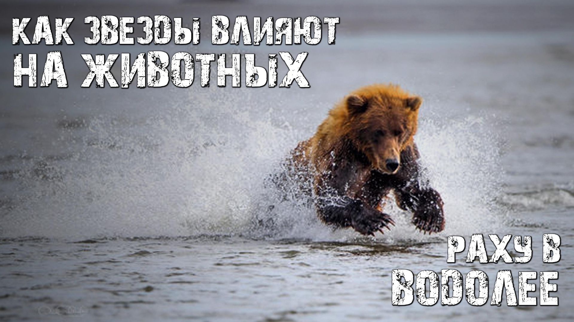 Обзоры новостей