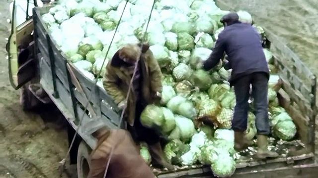 Старые кинопленки. Тобольск