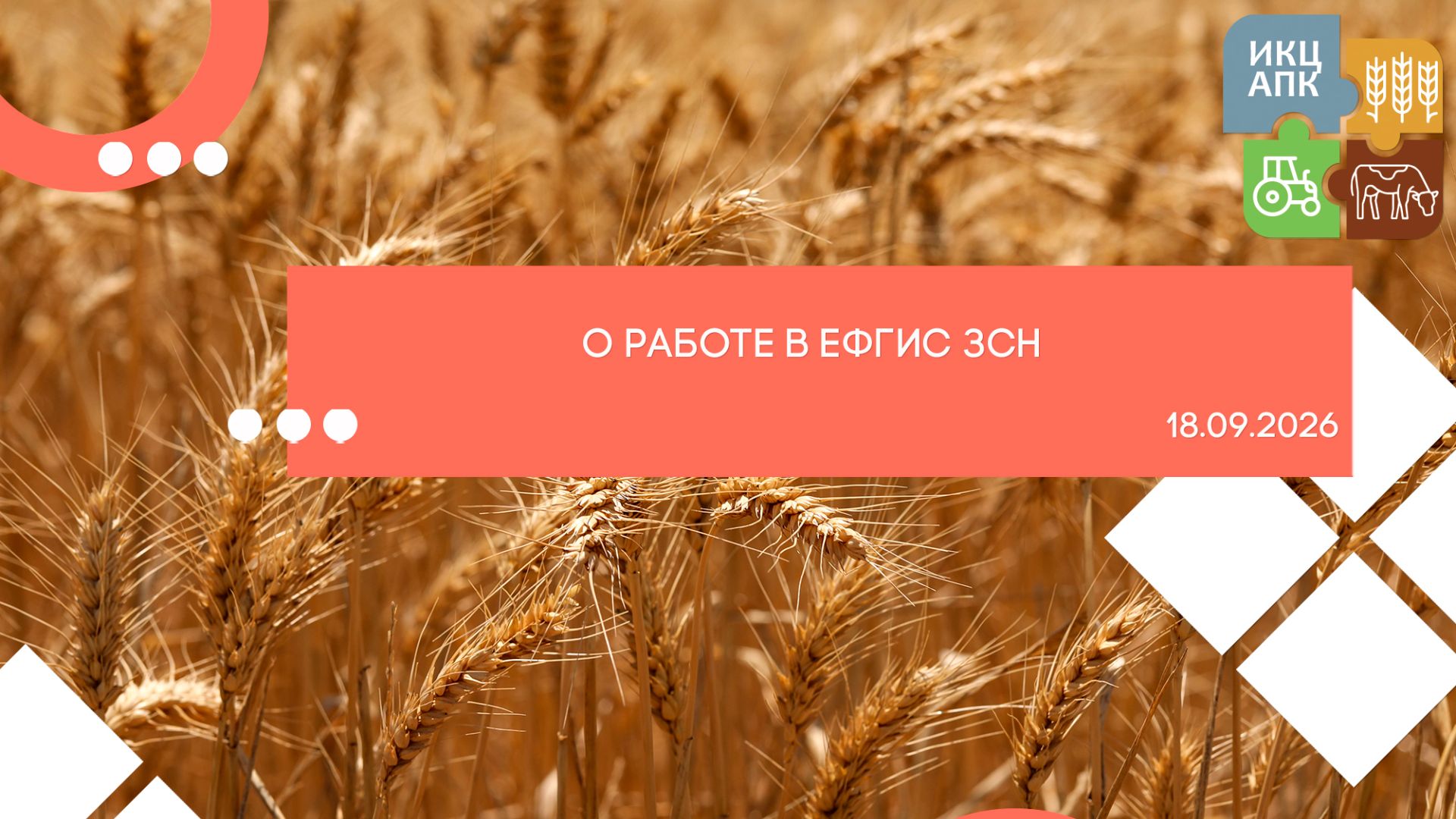 Записи 2026 года