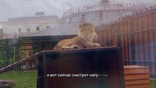 Шерхан