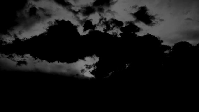 NETHERBIRD