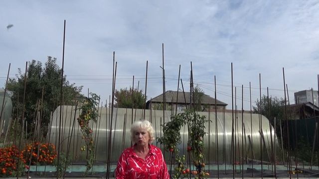 ОТВЕТЫ НА ВОПРОСЫ.