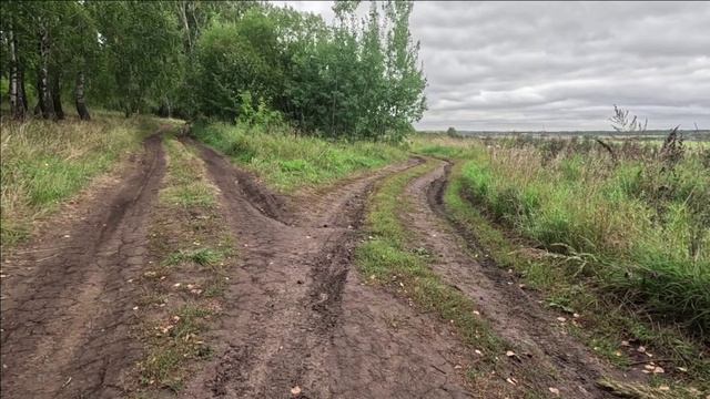 Поездки из Кораблевки