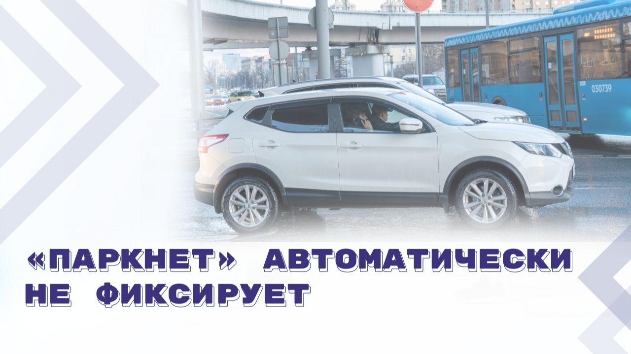 Экспертный взгляд