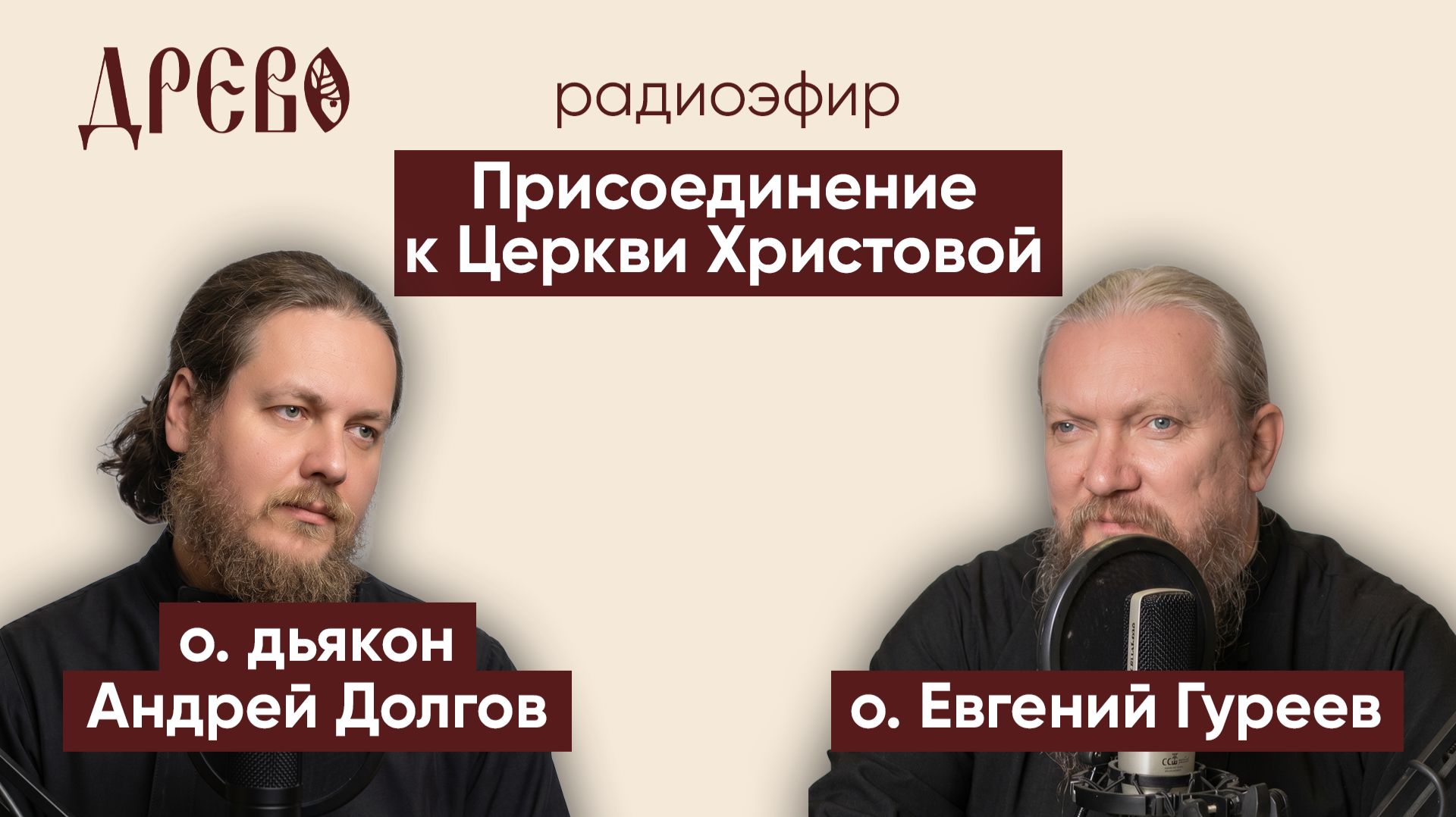 Аудиоподкасты