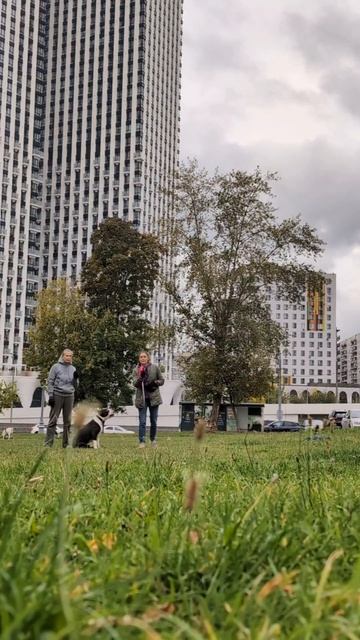 Тренировки Карамышевская Наб