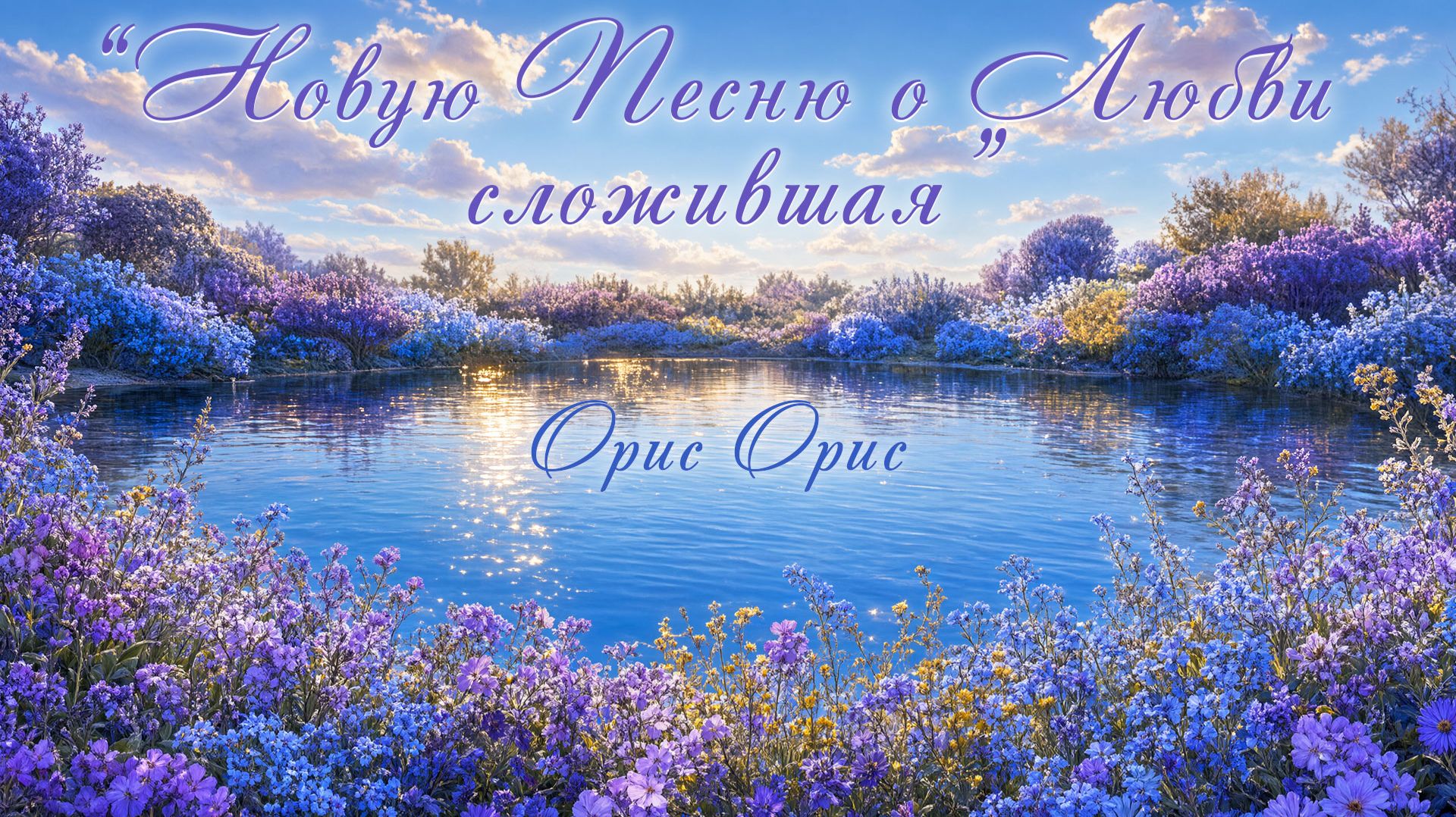 Видео клипы