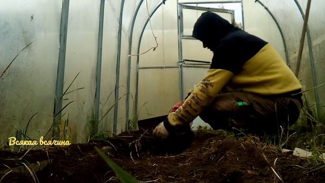 Сад и огород