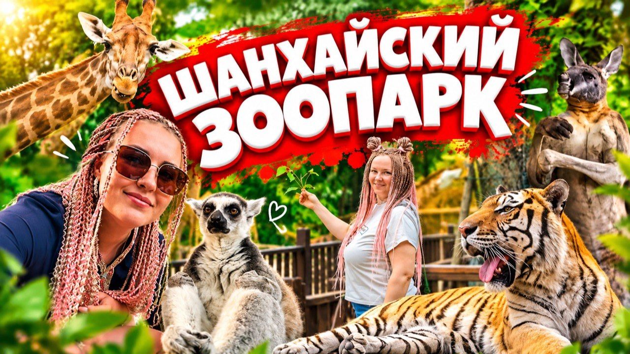 Наш отпуск 2026 Пекин и Шанхай)