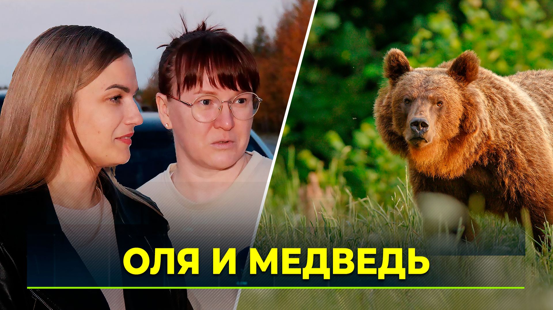 Главные новости дня