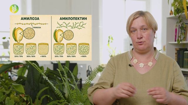 Биопластик