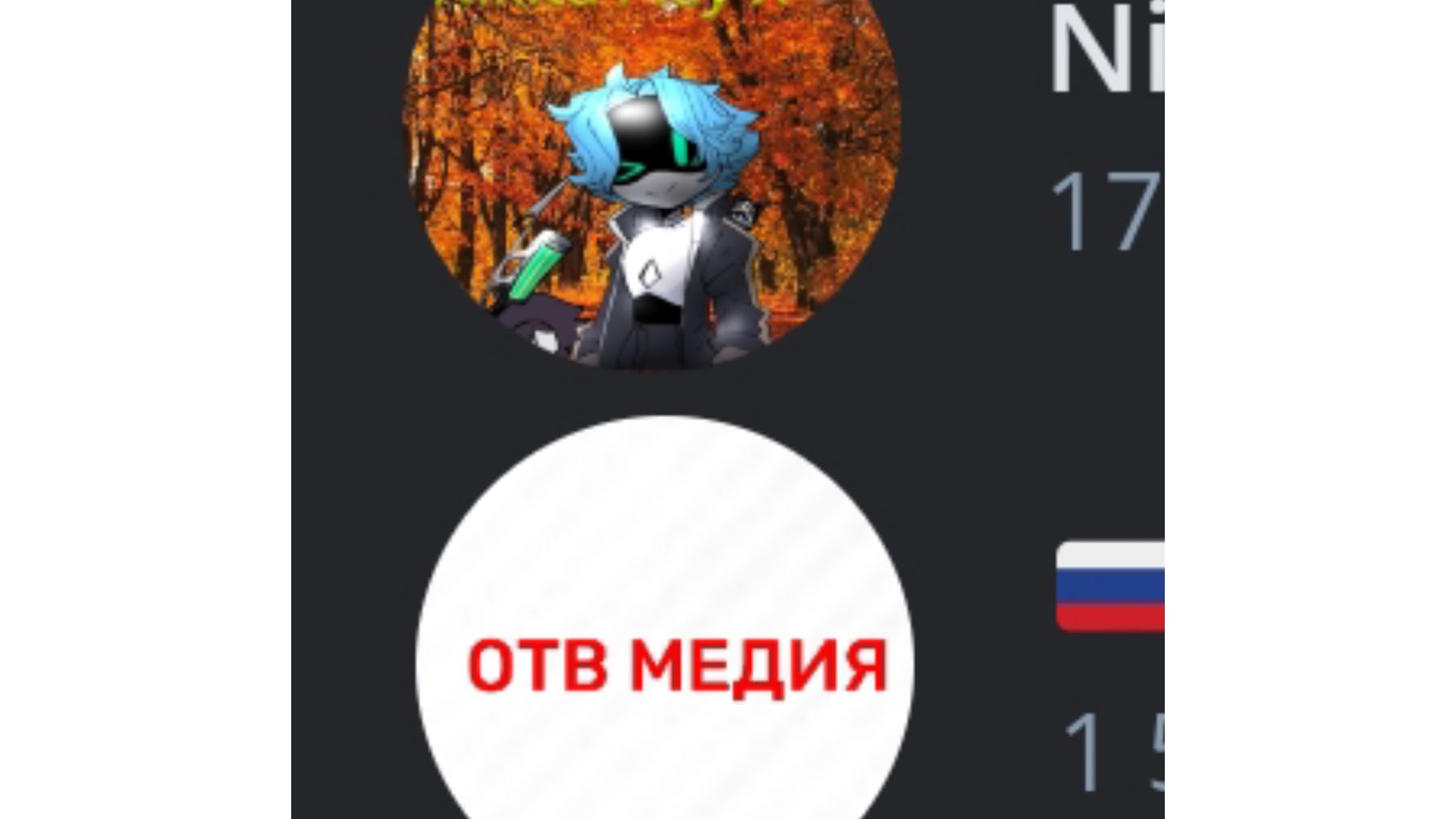 Кубок рутубера